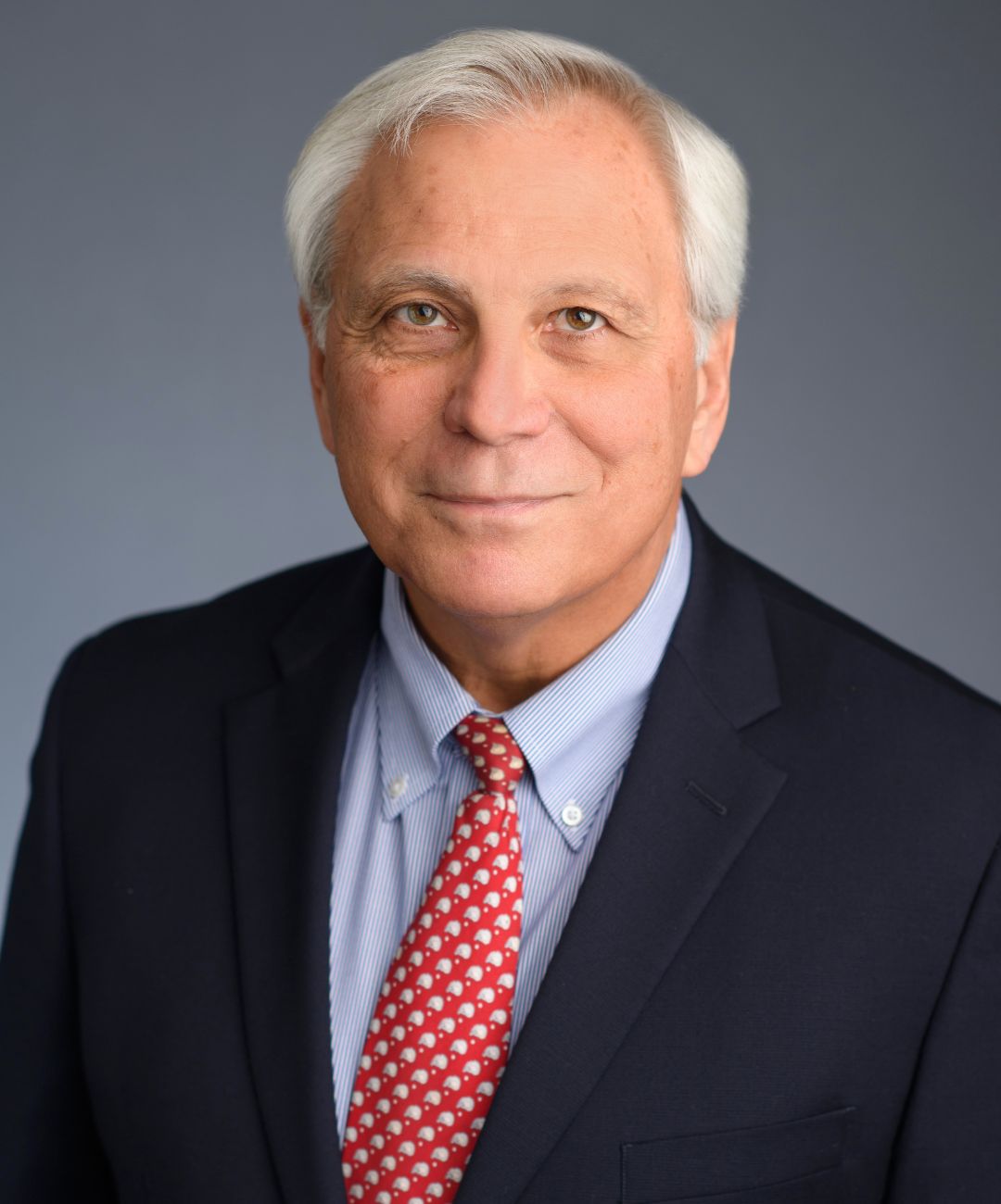 Wayne J. Fontana - Roedel Parsons Blache Fontana Piontek & Pisano ...